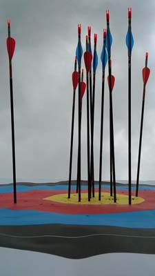 Home [www.bluearrows.org.uk]